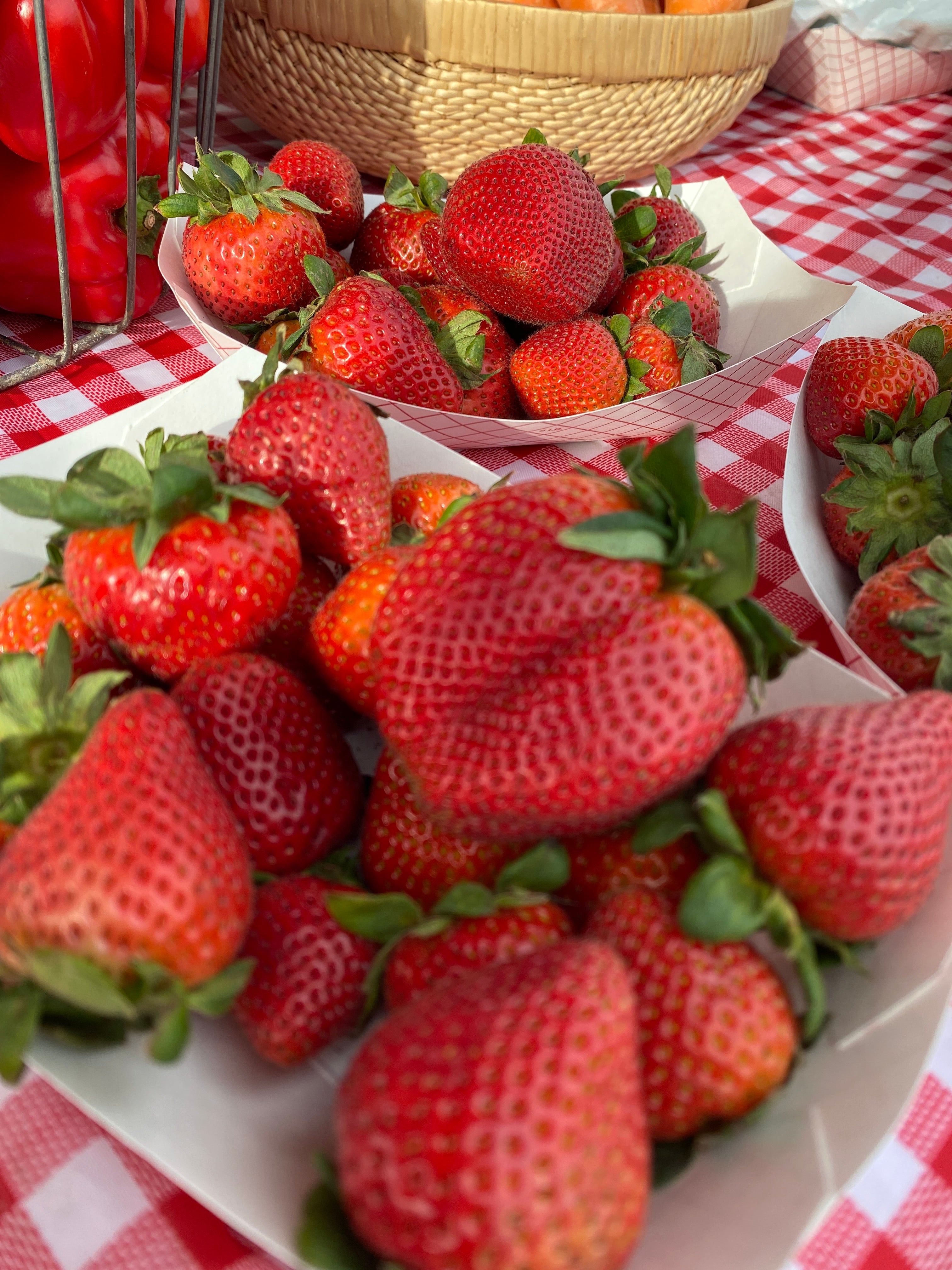 Strawberries: 1lb Clamshell | The Roadside Stand: Fort Worth Farmers Market